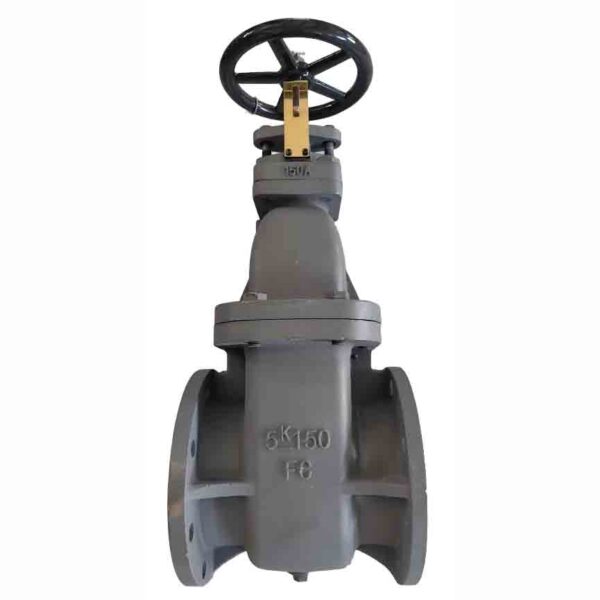 JIS Cast Steel 5K Gate Valve